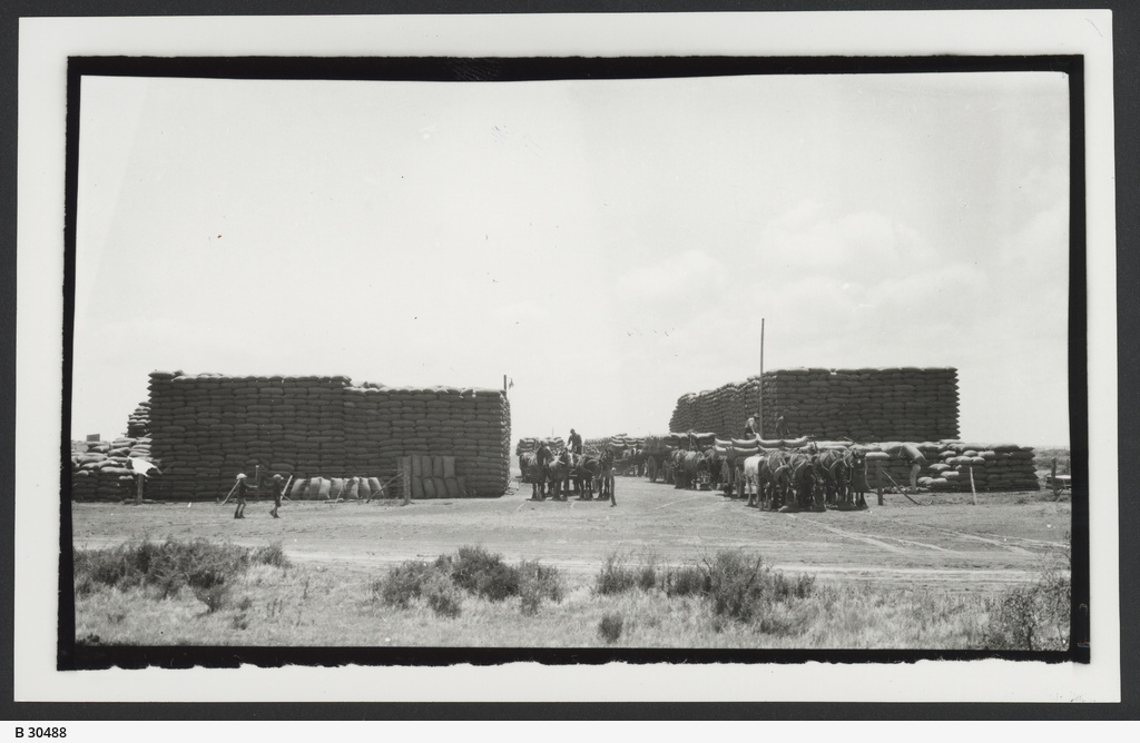 Port Victoria • Photograph • State Library of South Australia