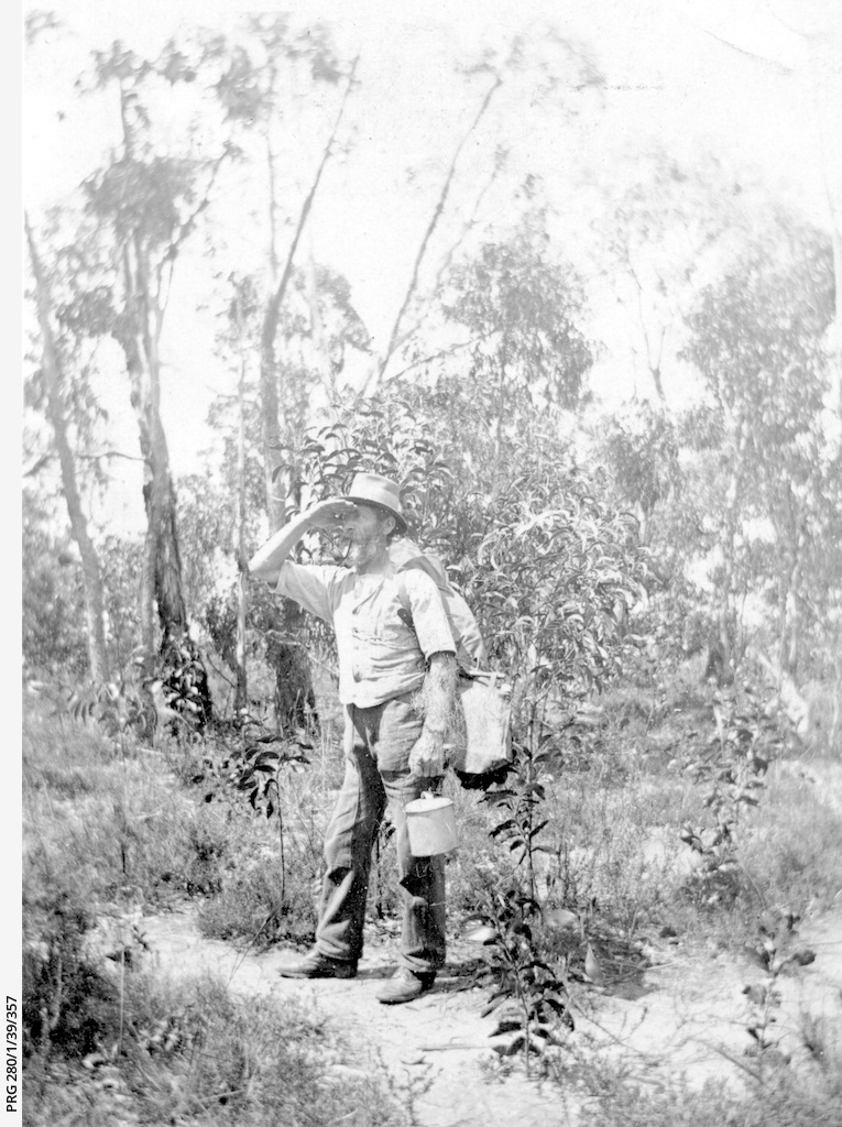 A swagman in South Australian bushland • Photograph • State Library of ...