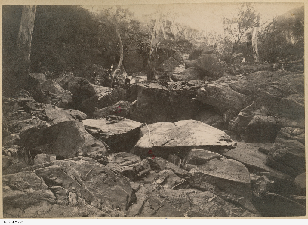 Tanunda Creek • Photograph • State Library of South Australia