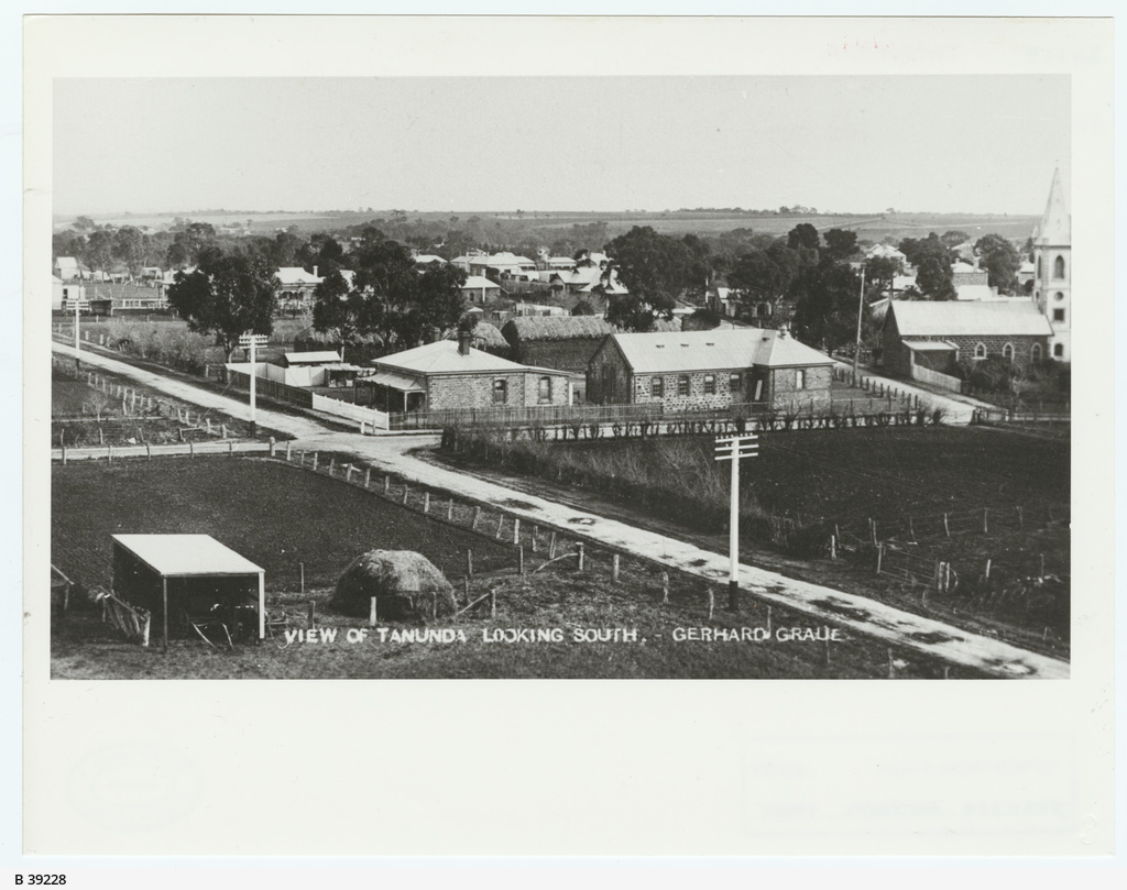 Tanunda • Photograph • State Library of South Australia