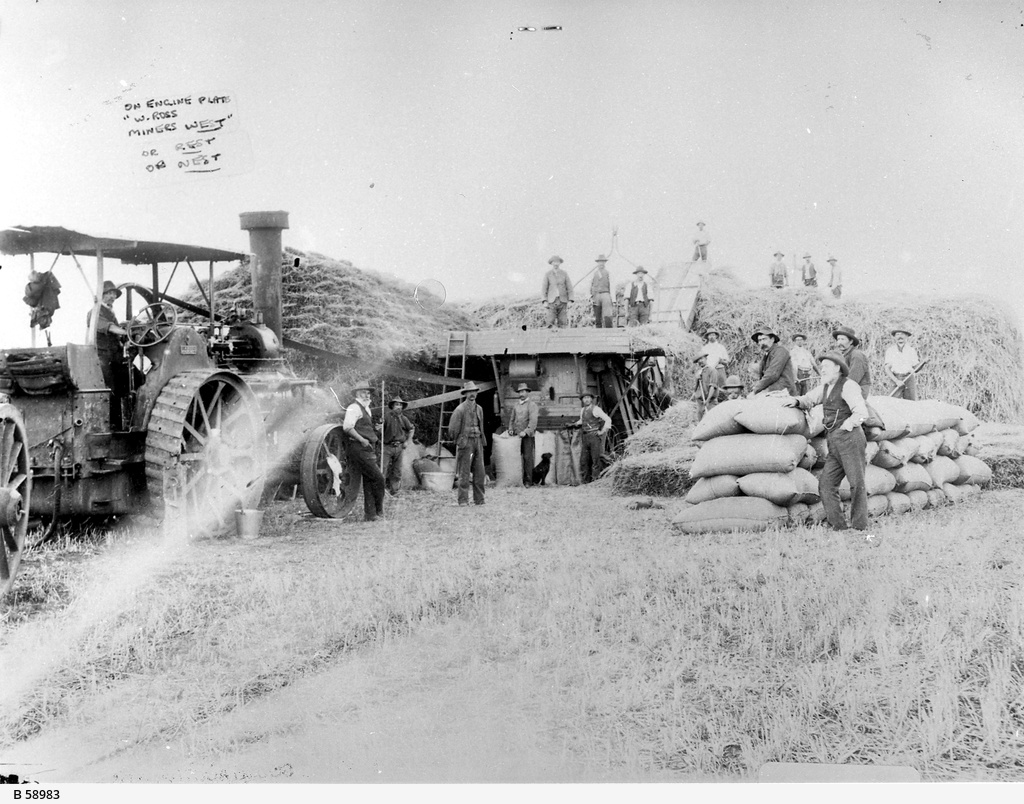 Farm workers bagging grain • Photograph • State Library of South Australia