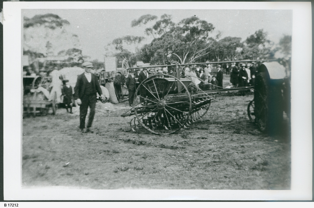 Lameroo Show • Photograph • State Library of South Australia