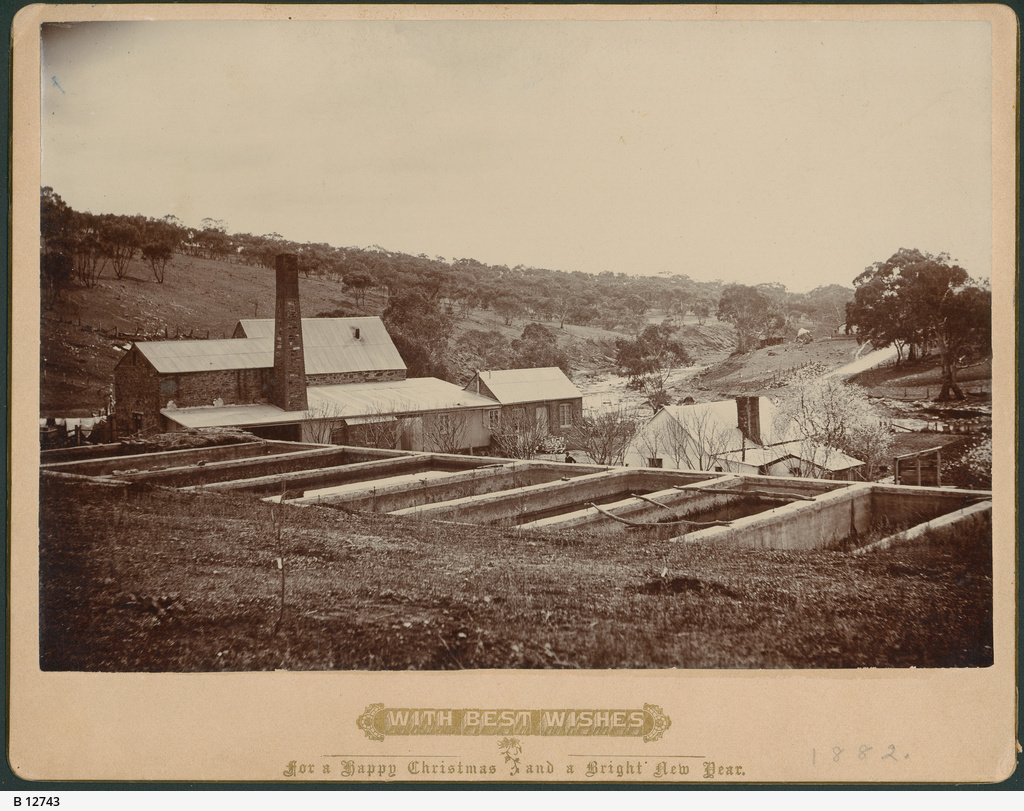 Flax Mill, Lyndoch • Photograph • State Library of South Australia