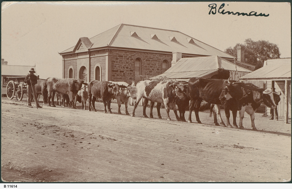 Blinman • Photograph • State Library of South Australia