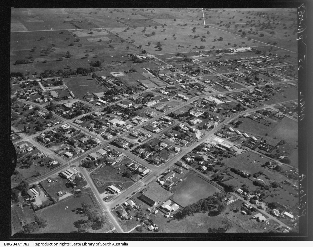 Aerial view of Penola • Photograph • State Library of South Australia