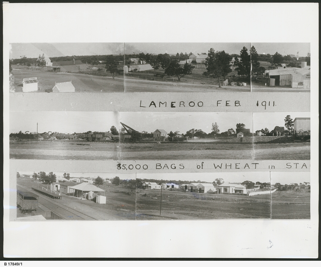 Lameroo • Photograph • State Library of South Australia