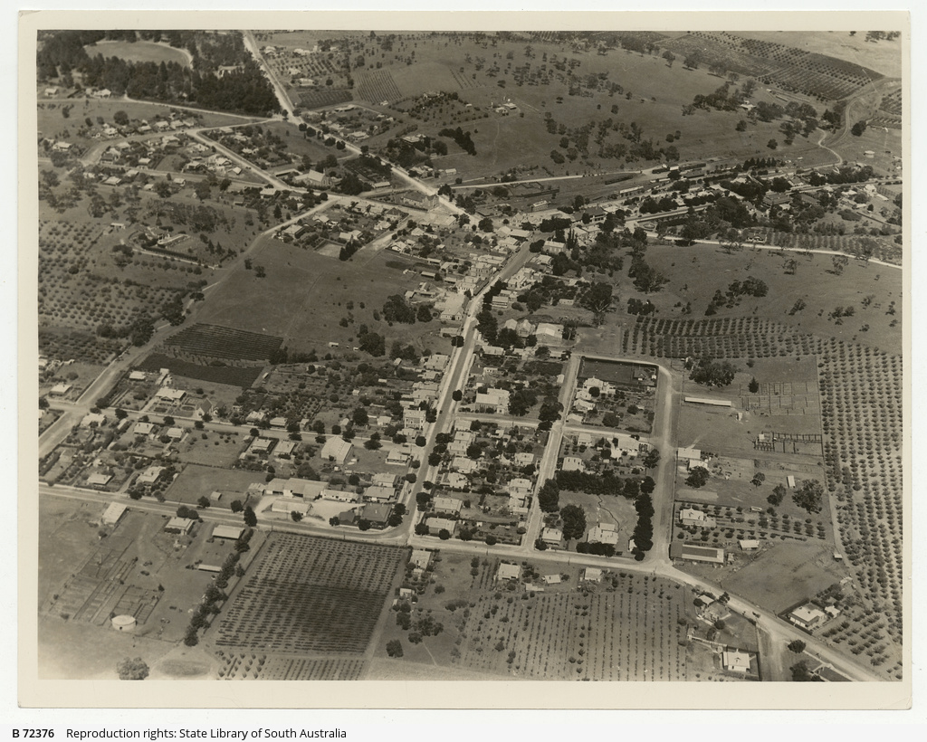Angaston from the air • Photograph • State Library of South Australia
