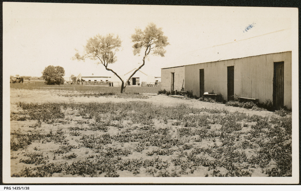 Coondambo huts and woolshed • Photograph • State Library of South Australia