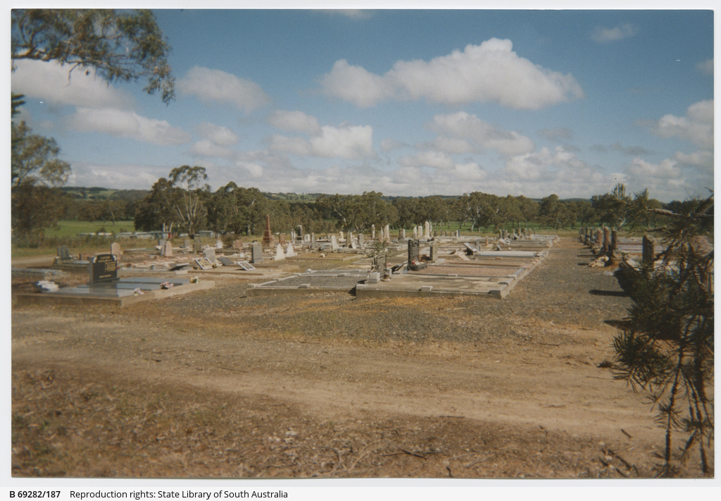 Cemetery at Meadows • Photograph • State Library of South Australia