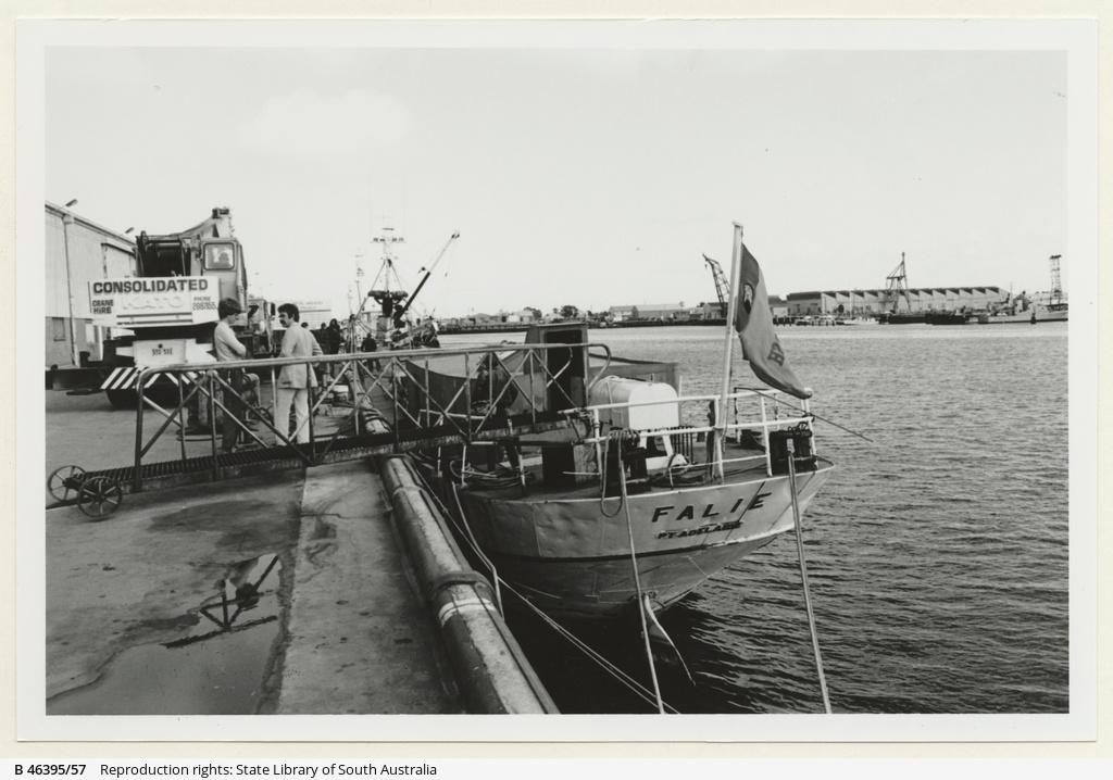 'The Falie' • Photograph • State Library of South Australia
