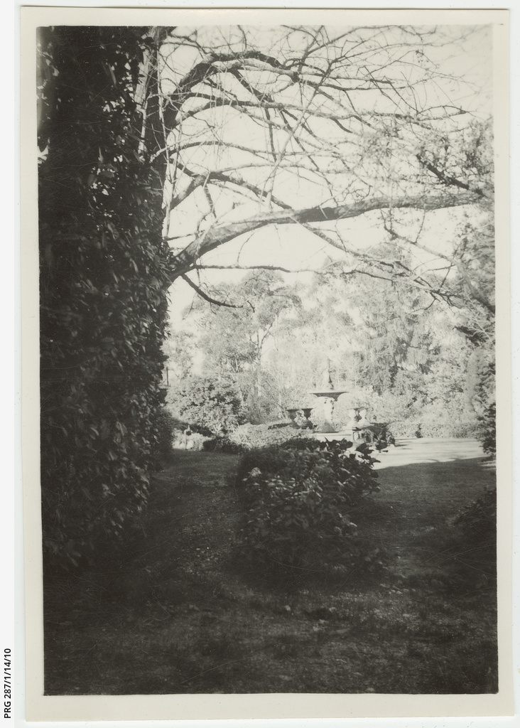 'Duncraig - Stirling East' • Photograph • State Library of South Australia