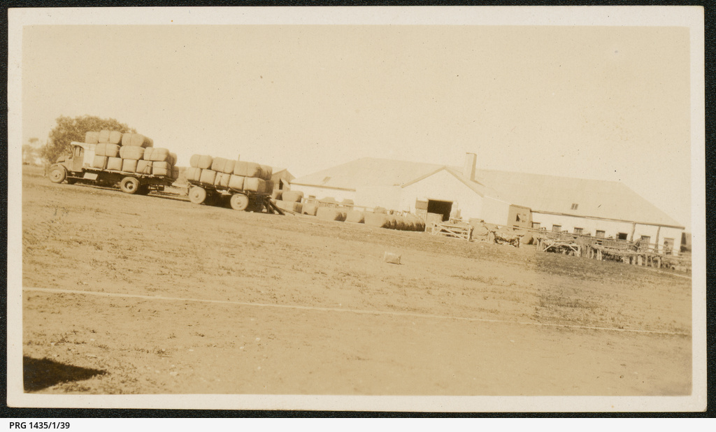 Coondambo woolshed • Photograph • State Library of South Australia