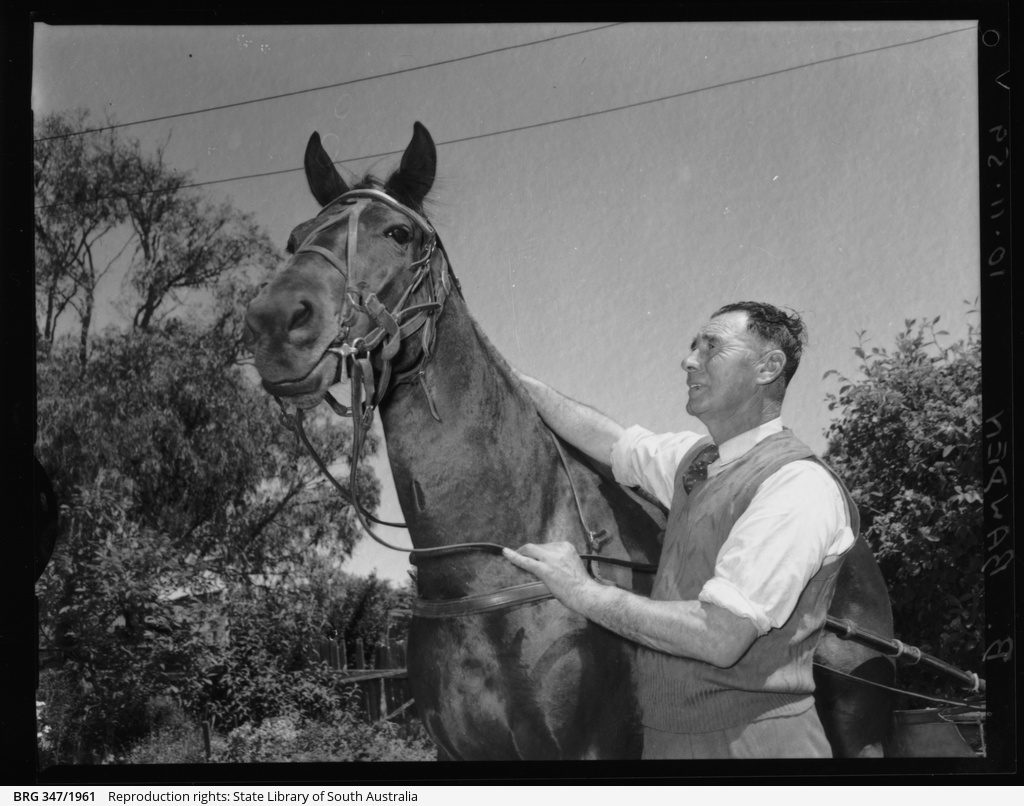 B. Bawden • Photograph • State Library of South Australia