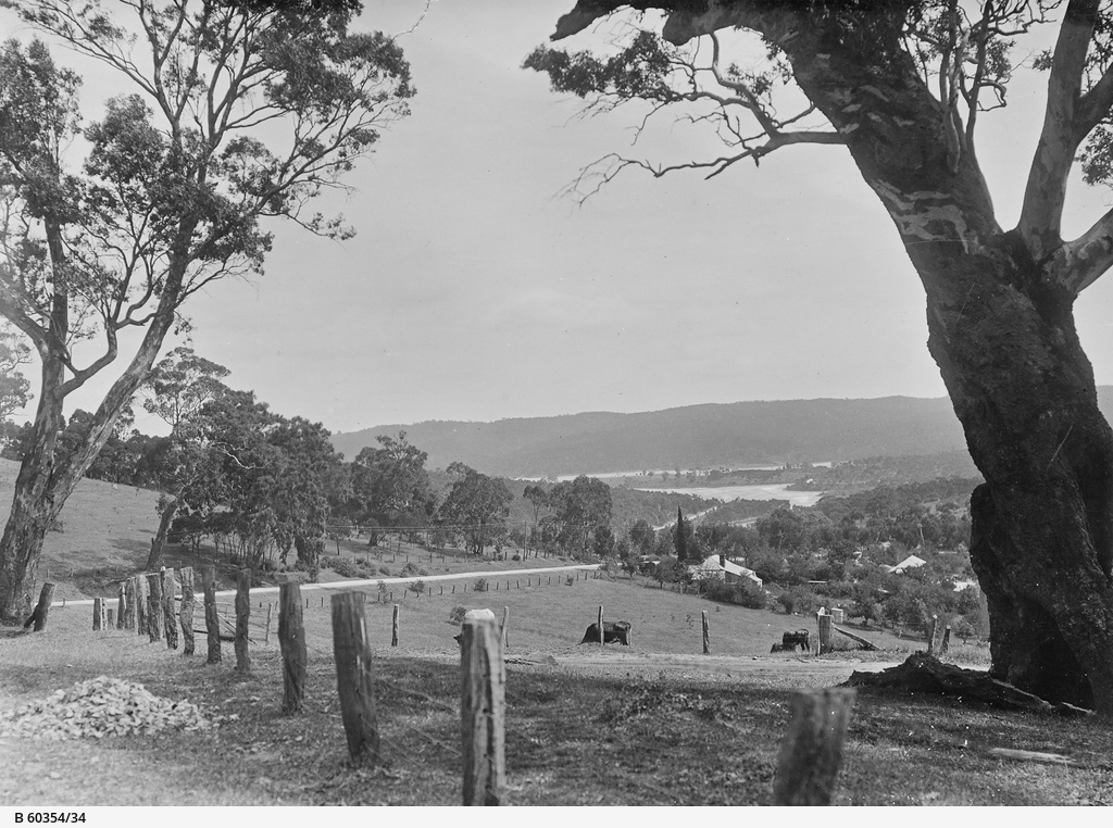 Millbrook reservoir • Photograph • State Library of South Australia