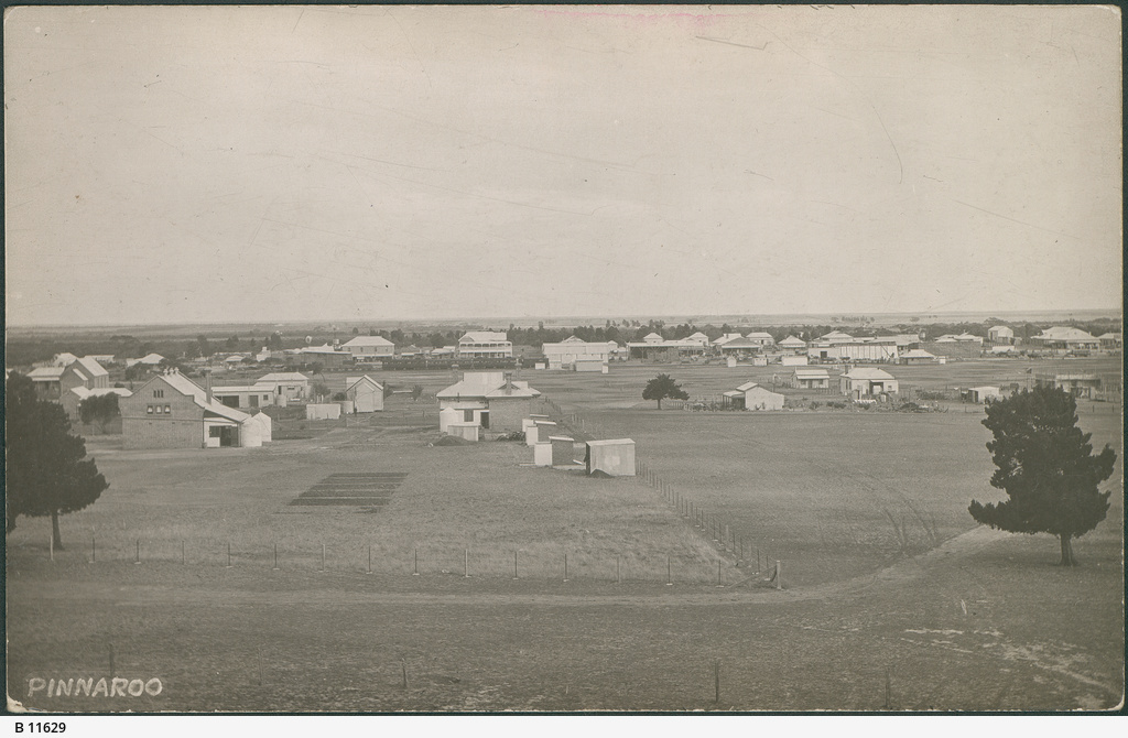 Pinnaroo • Photograph • State Library of South Australia