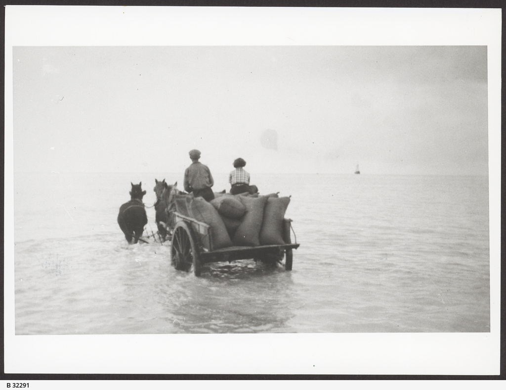 Corny Point • Photograph • State Library of South Australia