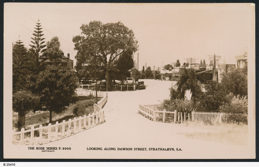 Dawson Street, Strathalbyn • Photograph • State Library of South Australia