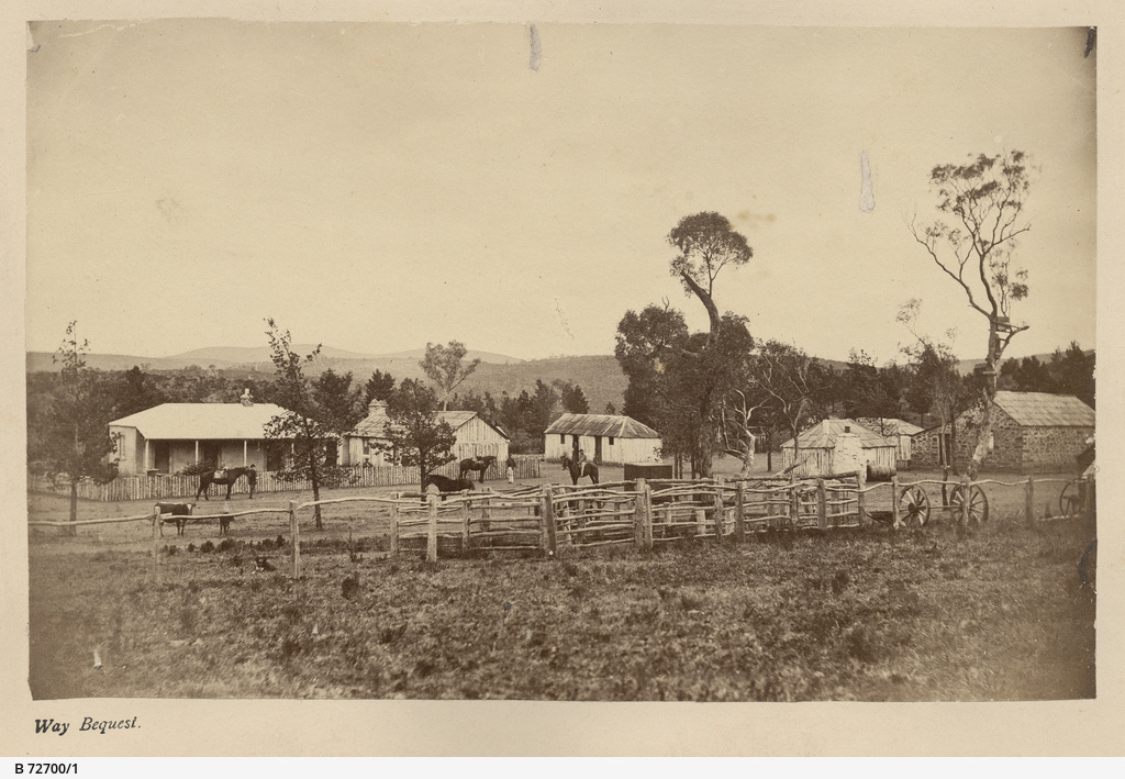 Views of a pastoral station • Photograph • State Library of South Australia
