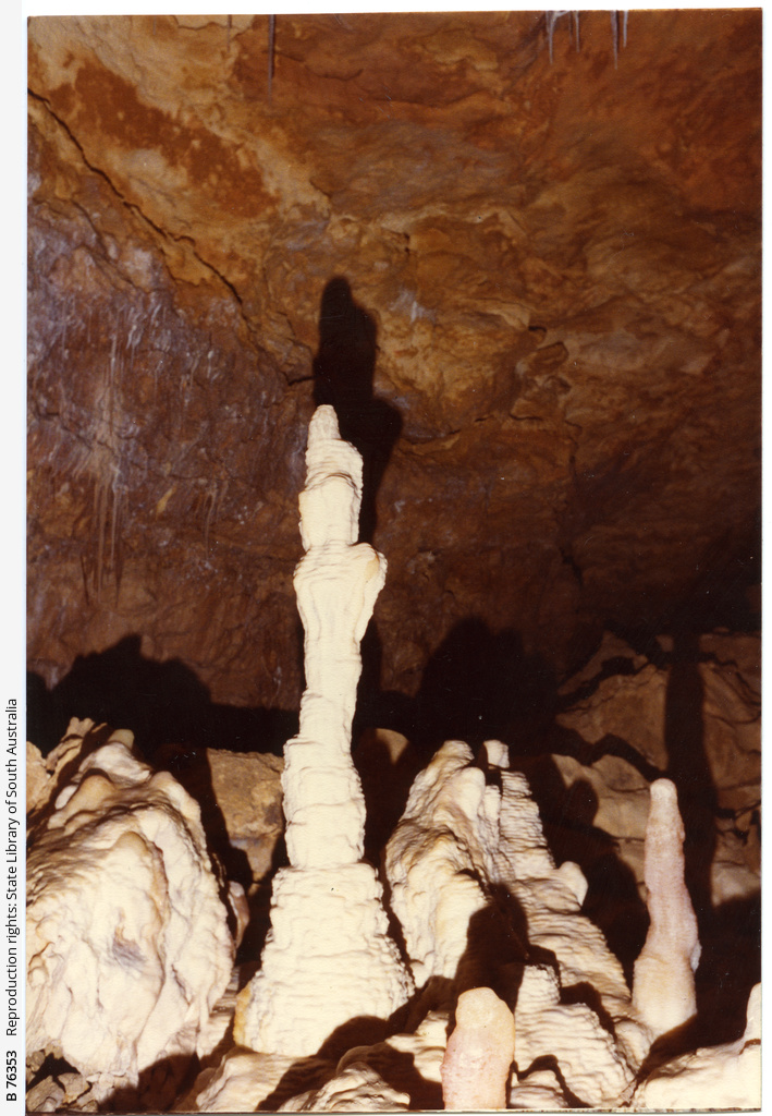 Blackberry Cave • Photograph • State Library of South Australia