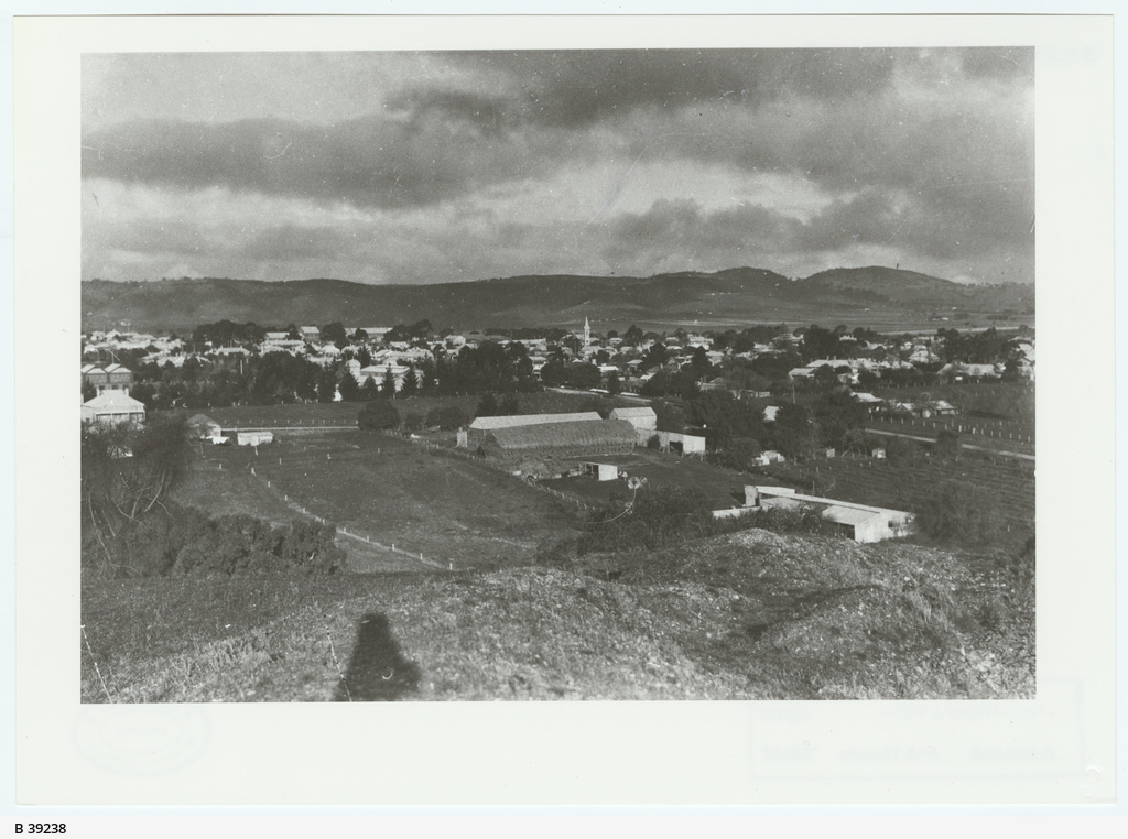 Tanunda • Photograph • State Library of South Australia