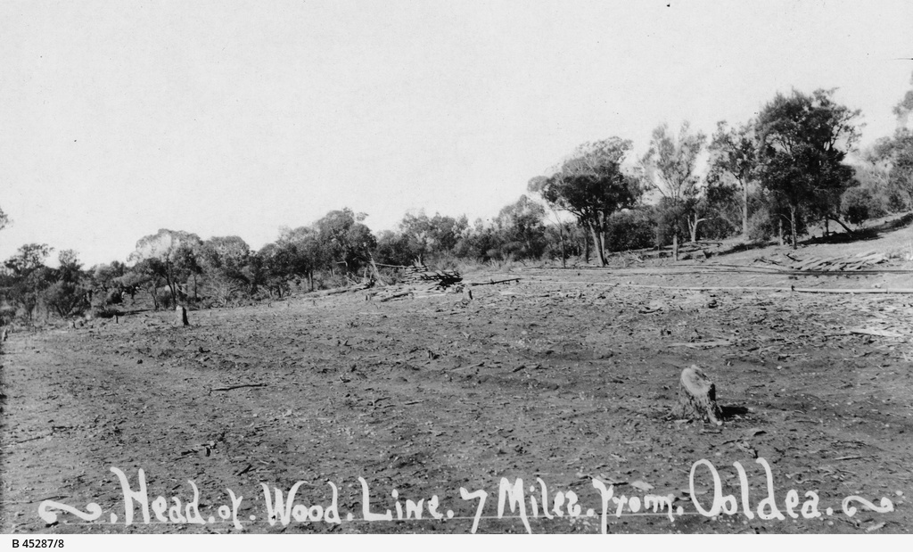 Views of Ooldea : head of wood line • Photograph • State Library of ...