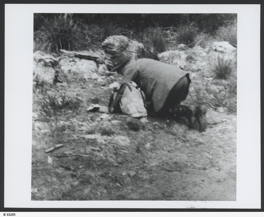 Professor J. Cleland • Photograph • State Library of South Australia