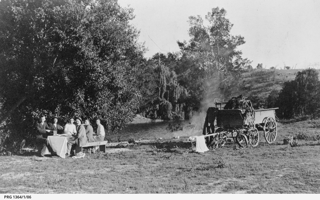 Bush picnic • Photograph • State Library of South Australia