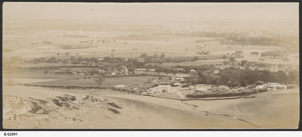 The Adelaide plains • Photograph • State Library of South Australia