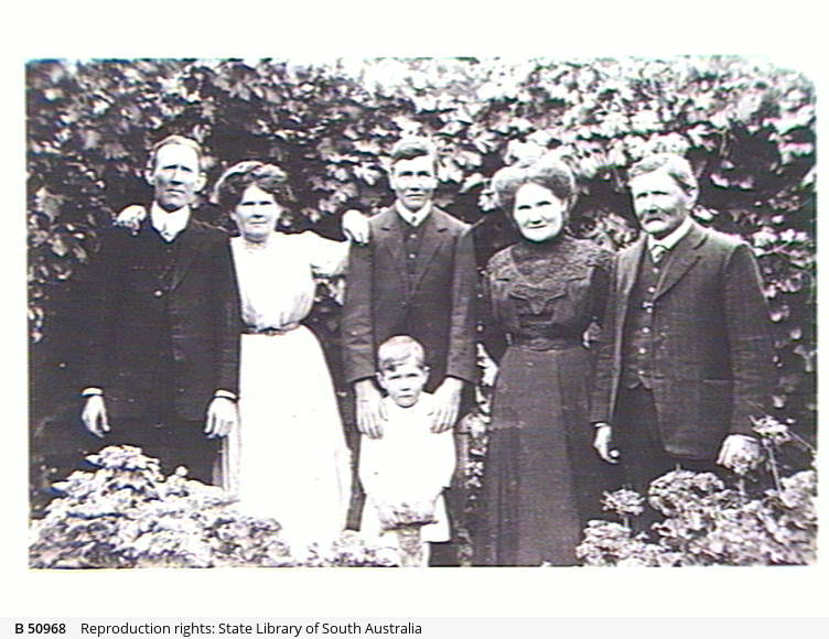 "Sheedy" Family Members • Photograph • State Library of South Australia