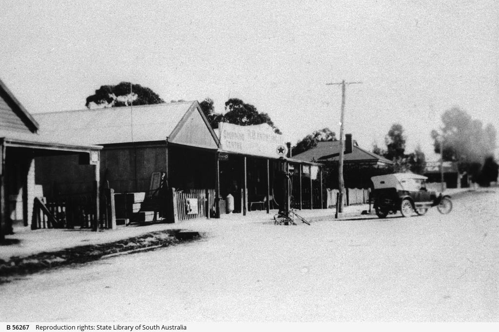 General view of Mundalla [i.e., Mundulla] • Photograph • State Library ...