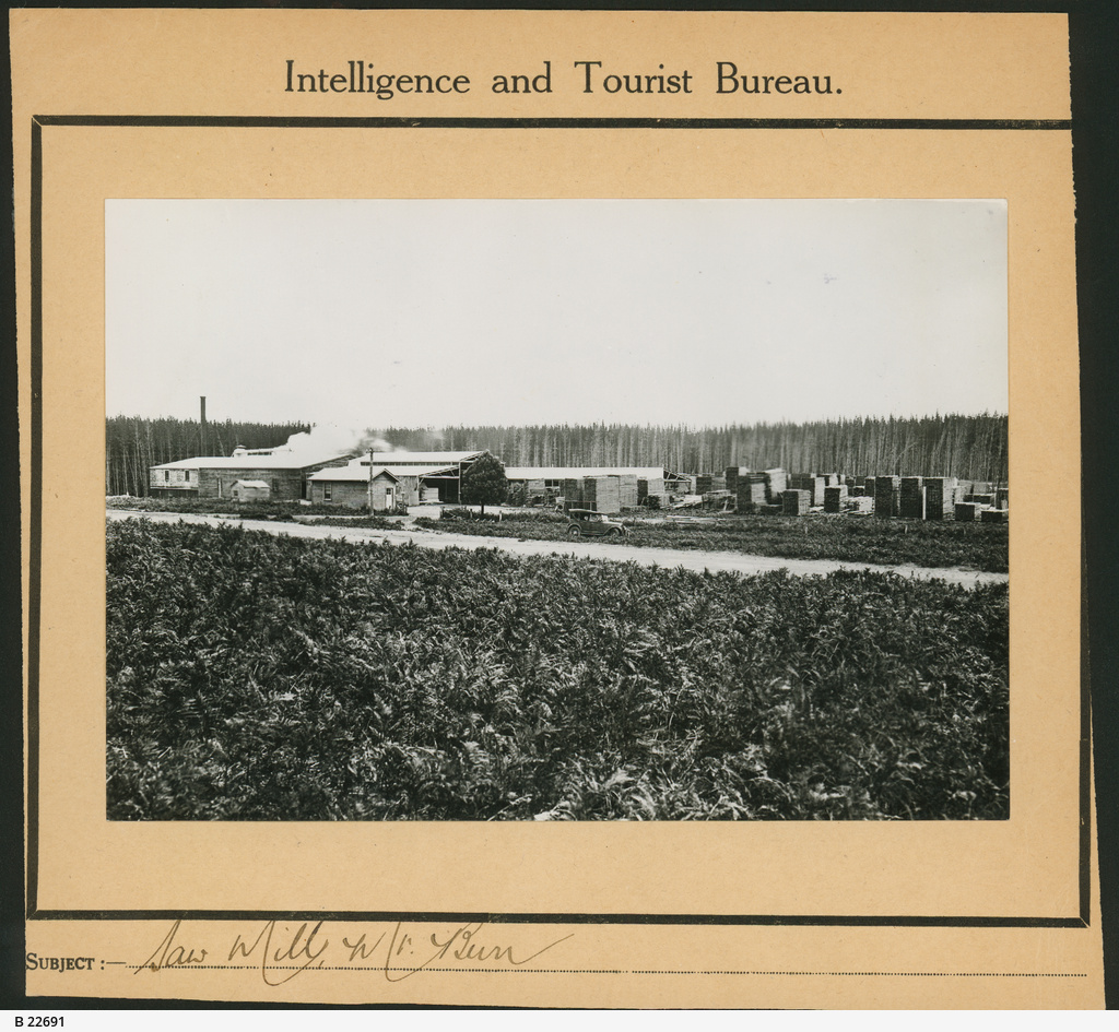 Mt. Burr Saw Mill • Photograph • State Library of South Australia