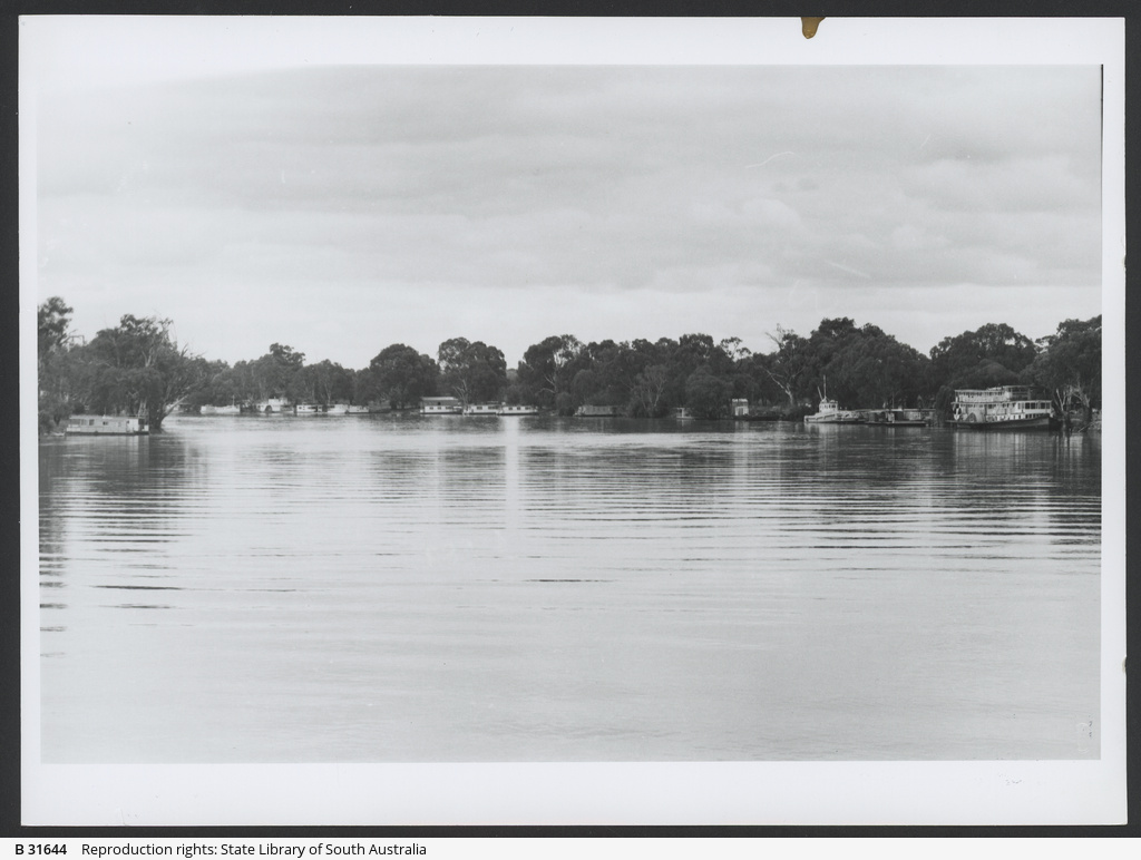 The Murray River at Morgan • Photograph • State Library of South Australia