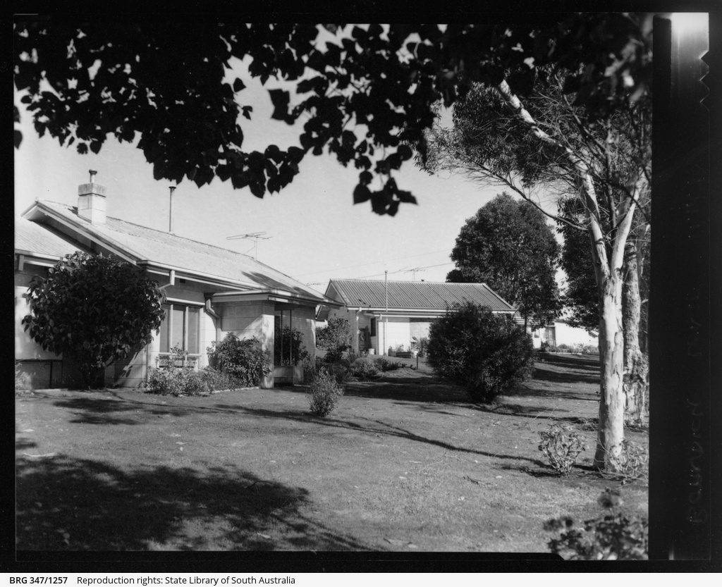 Boandik Lodge • Photograph • State Library of South Australia