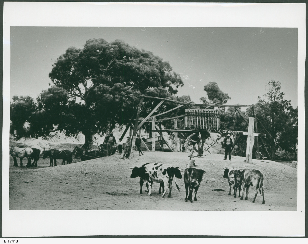 Booleroo Centre • Photograph • State Library of South Australia