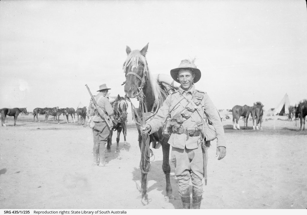 World War One Light Horse photographs • Photograph • State Library of ...