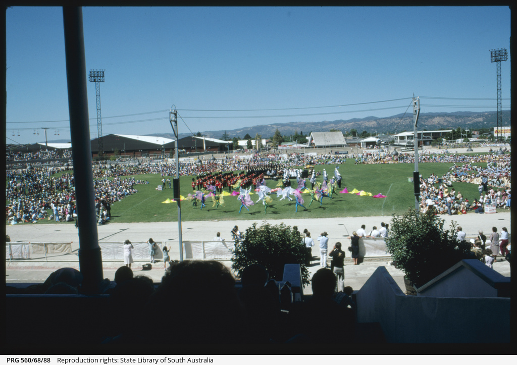 Wayville Showground • Photograph • State Library of South Australia