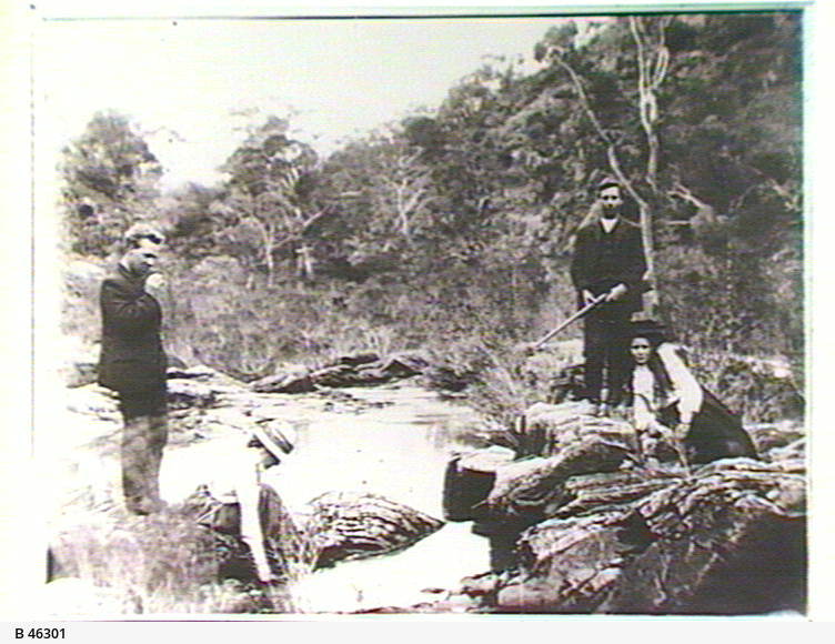 Finnis River • Photograph • State Library of South Australia