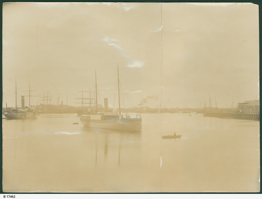 HMCS Protector and the Governor Musgrave • Photograph • State Library ...