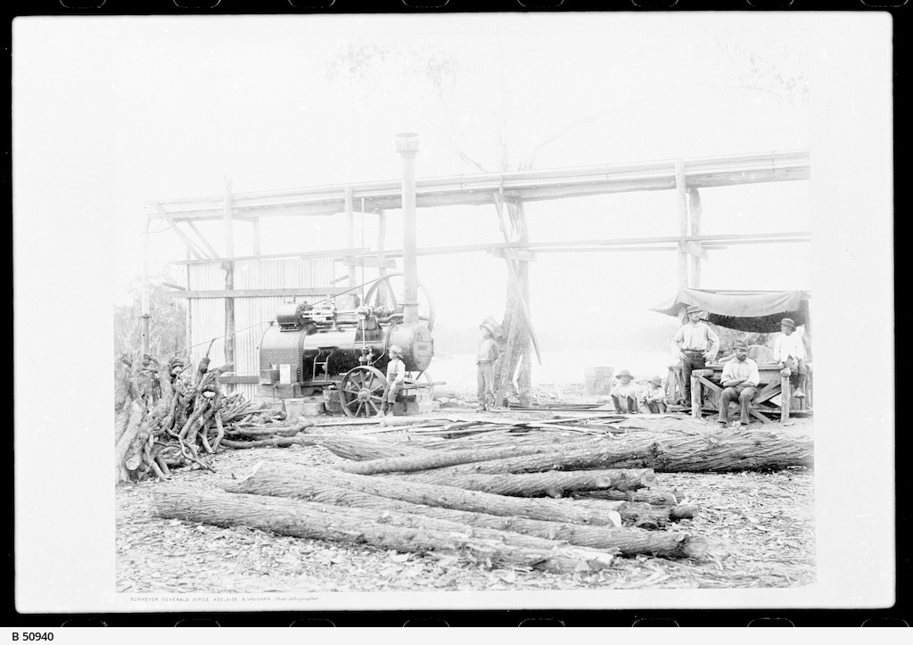 The Pumping-Station, Lyrup • Photograph • State Library of South Australia