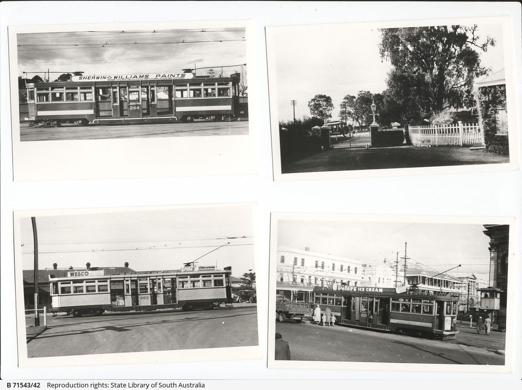 Photographs of transportation in early Adelaide • Photograph • State ...
