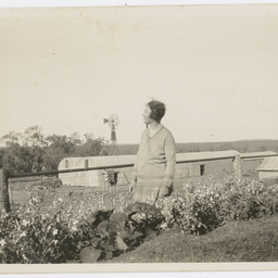 Cordillo Downs Station • Photograph • State Library of South Australia