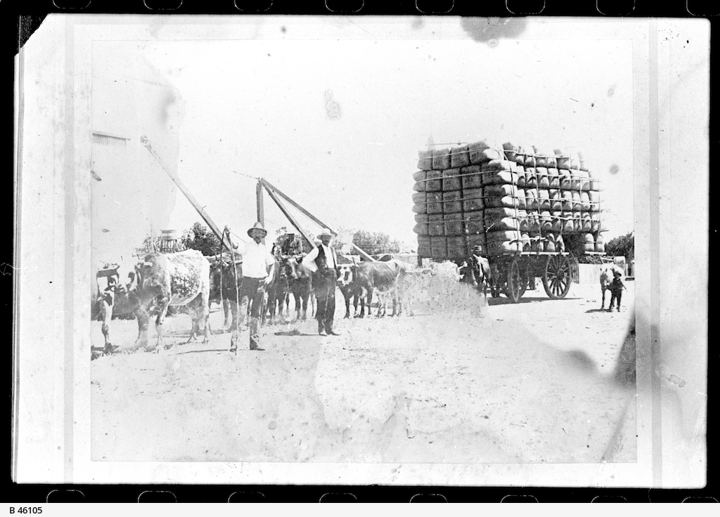 Record load of wool • Photograph • State Library of South Australia