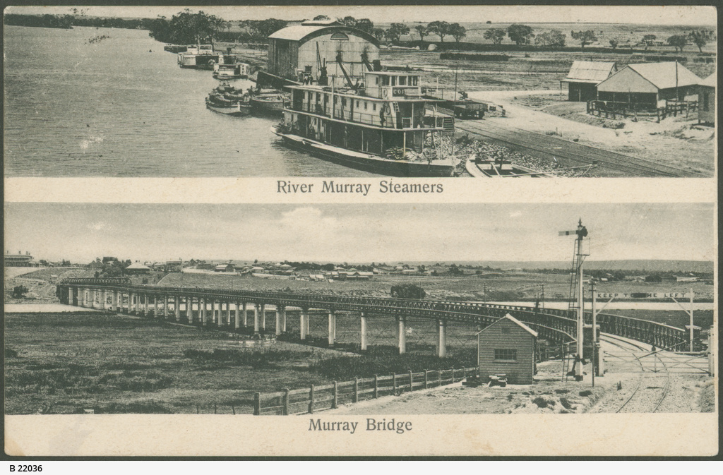 Steamer at Murray Bridge • Photograph • State Library of South Australia