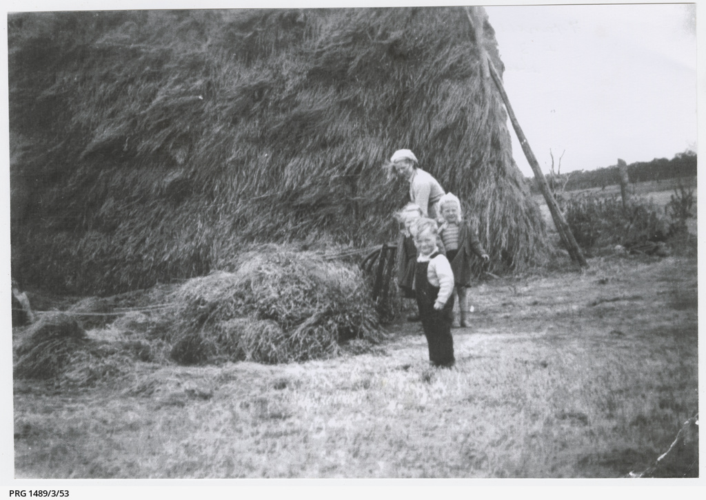 Building haystacks • Photograph • State Library of South Australia