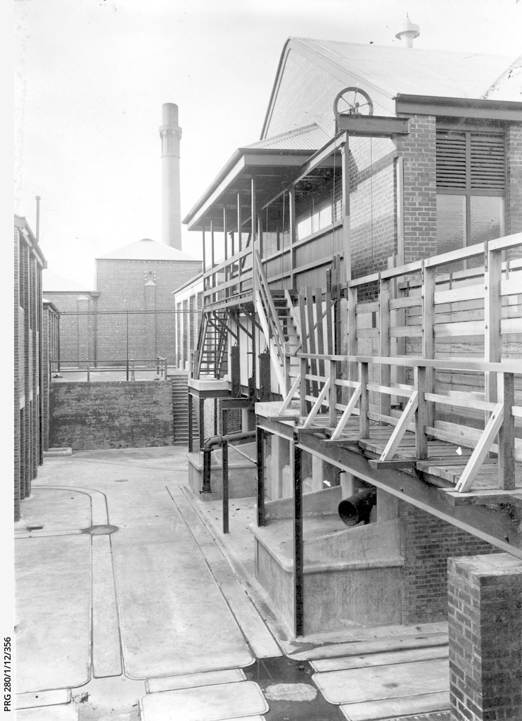 The abattoirs at Gepps Cross, South Australia • Photograph • State ...