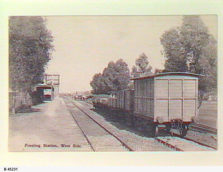 Freeling • Photograph • State Library of South Australia