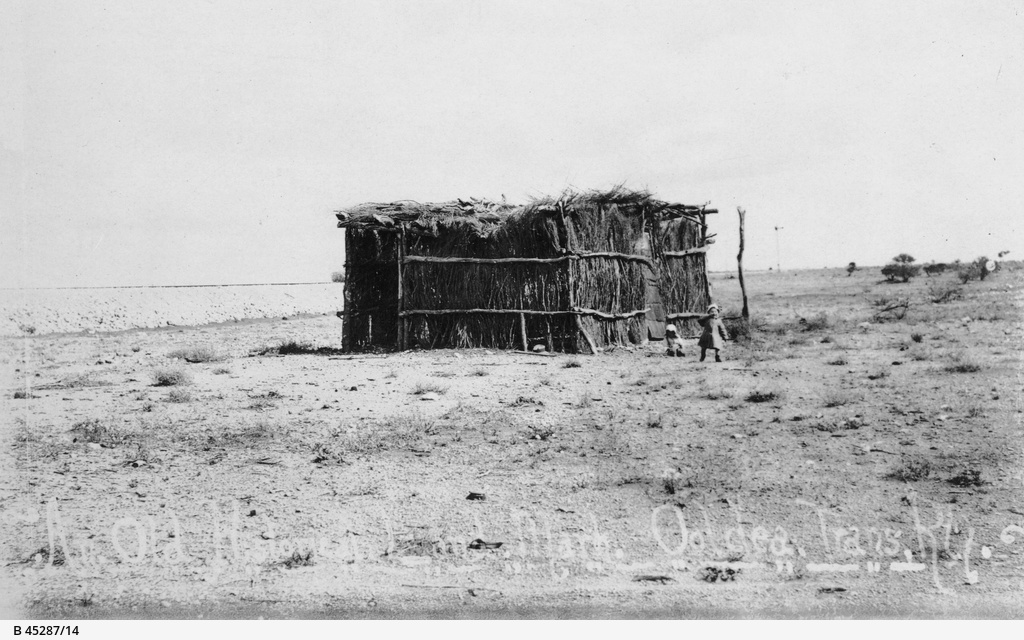 Views of Ooldea : bush shelter • Photograph • State Library of South ...