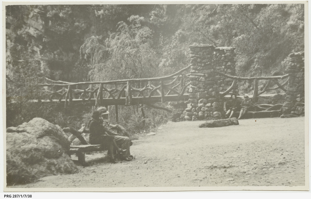 Morialta Park • Photograph • State Library of South Australia