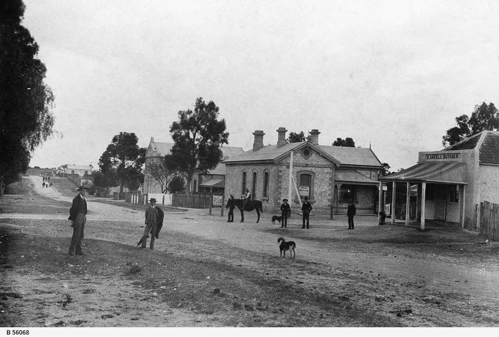 Main street of Milang • Photograph • State Library of South Australia