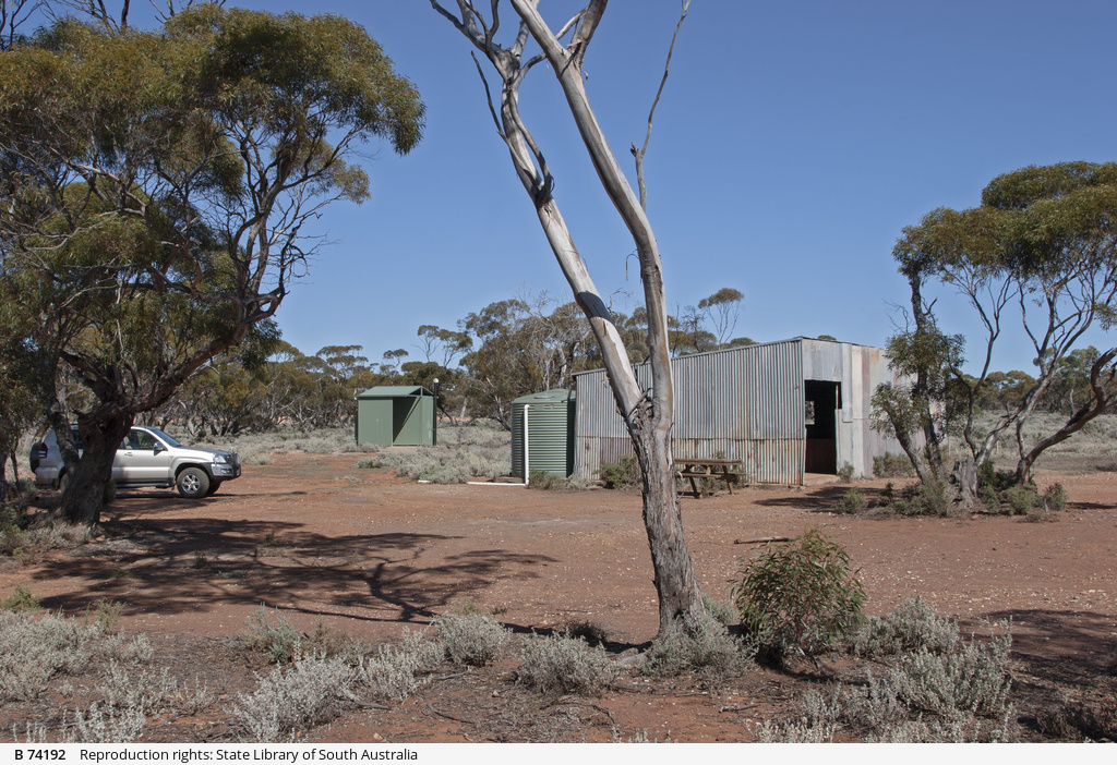 Caroona Conservation Park • Photograph • State Library of South Australia